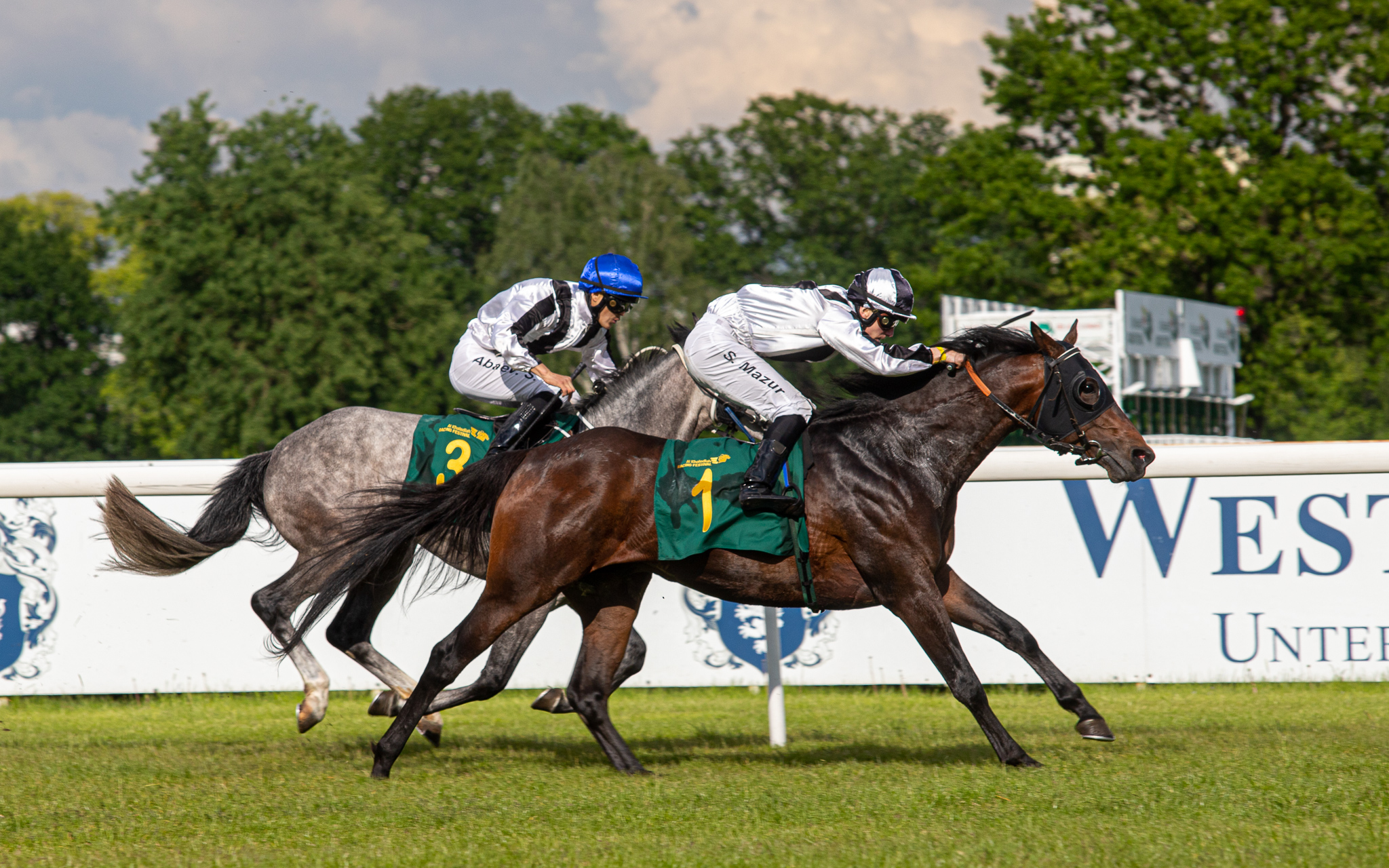 Dary Al Khalediah wygrywa Tiwaiq Central European Arabian Derby! | Tor ...