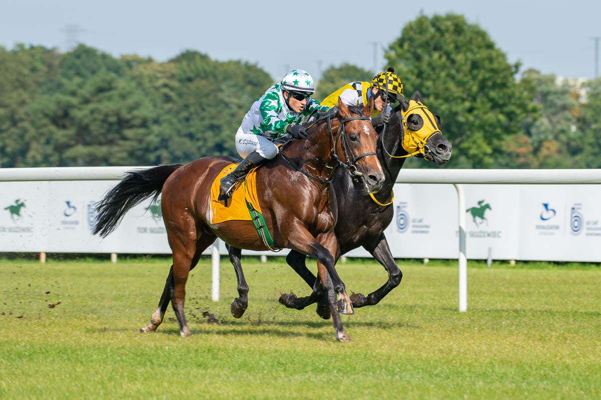 Przekonujące zwycięstwa Al Faisala i Sabamiry | Tor Służewiec