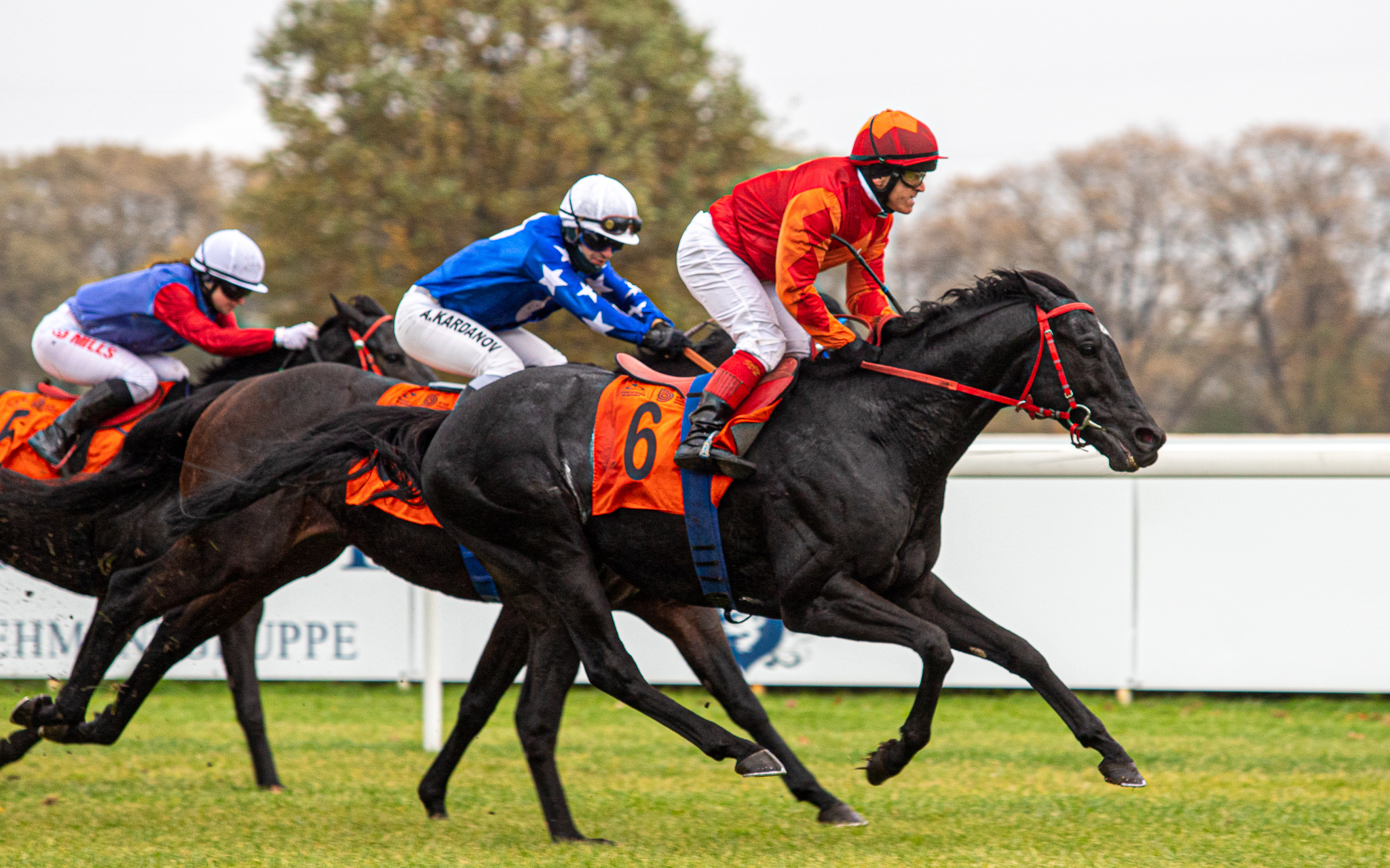 Faworyci nie zawiedli w Criterium i Efforty | Tor Służewiec