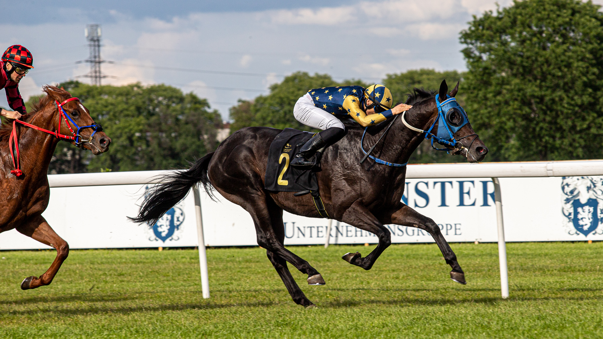 Le Destrier wygrał Memoriał Jerzego Jednaszewskiego | Tor Służewiec